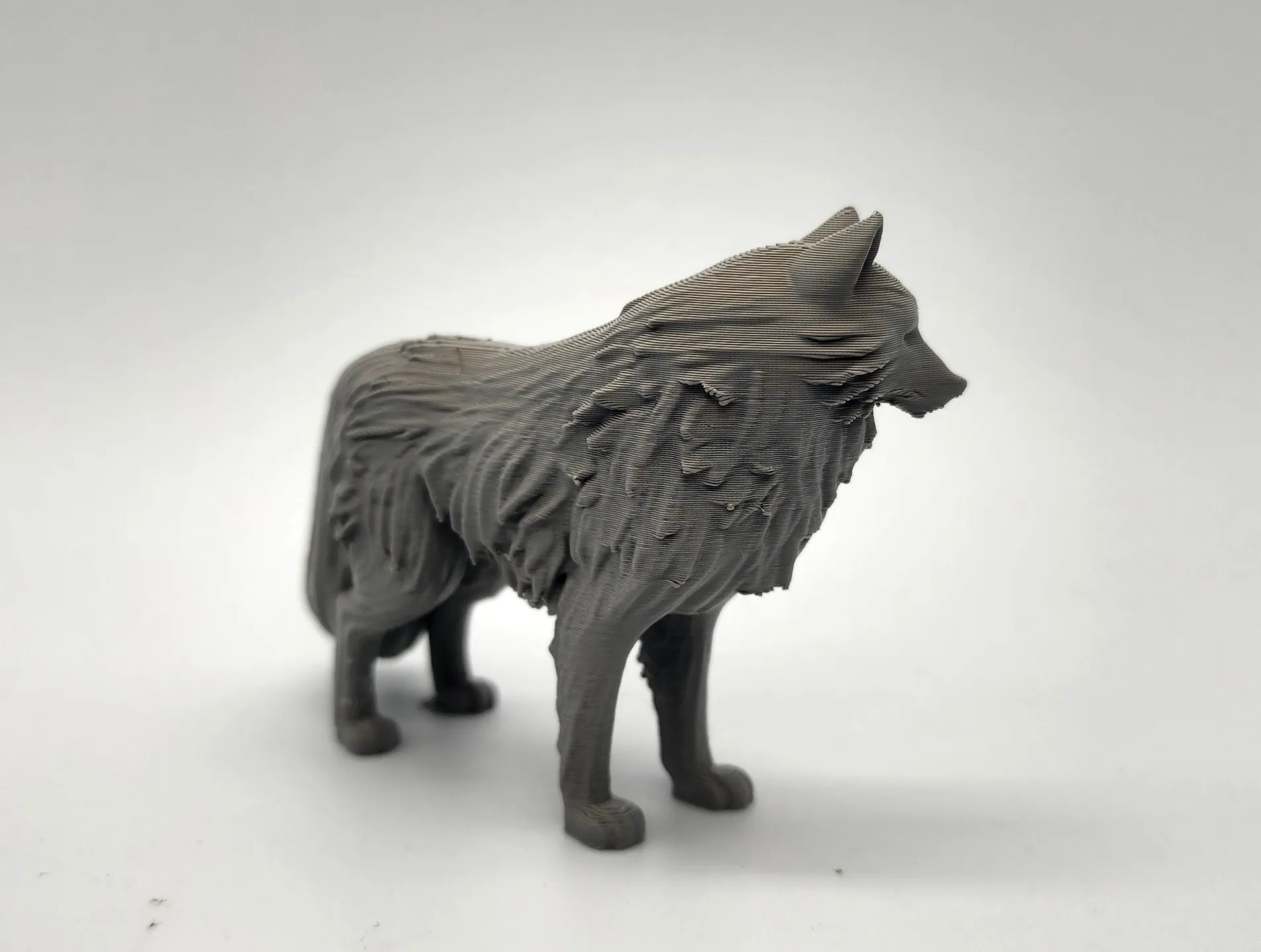 Fluffy Timberwolf Figure - DownloadFree3D.com